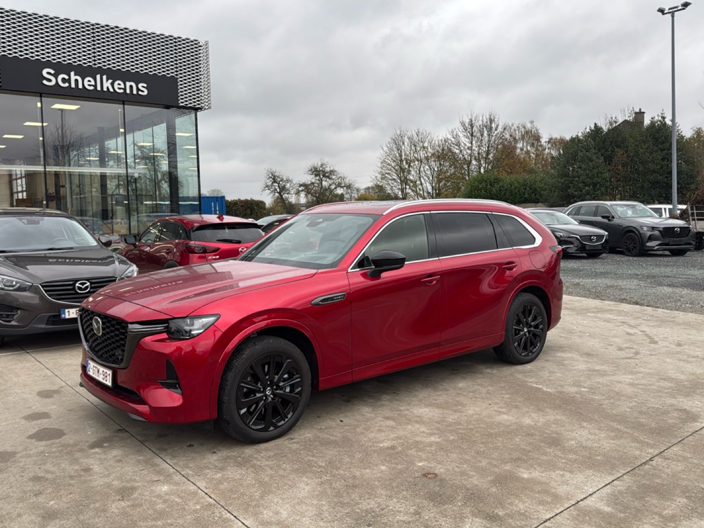 Tweedehandswagens for sale by Mazda SCHELKENS
